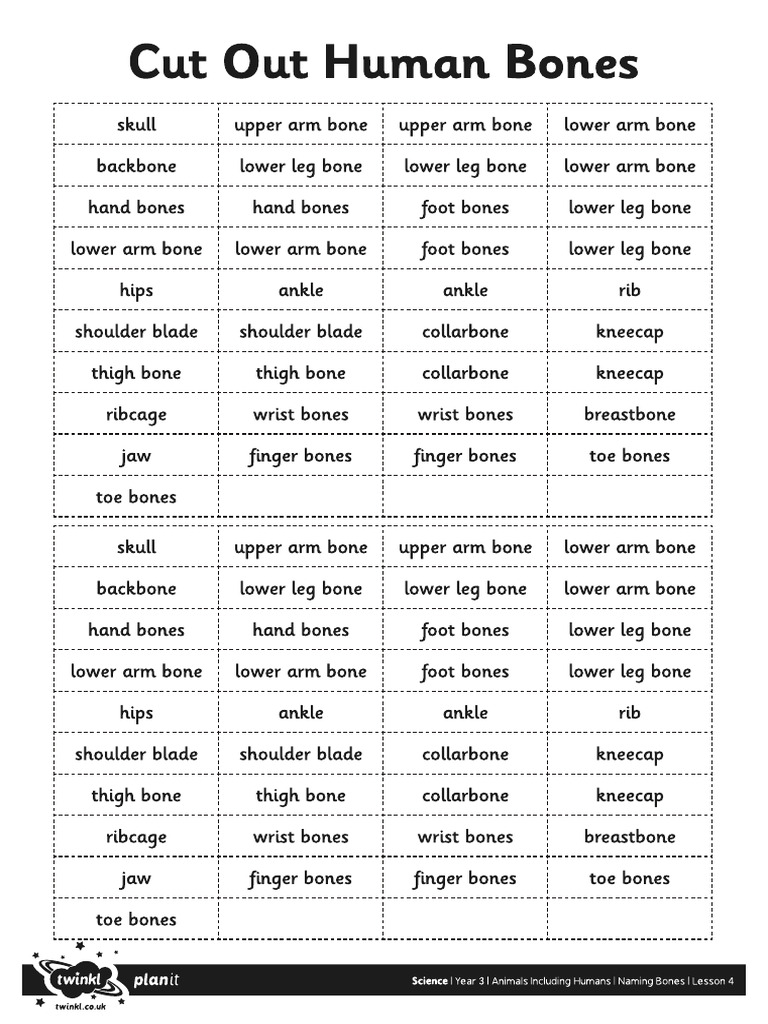 activity-sheet-cut-out-human-bones | PDF