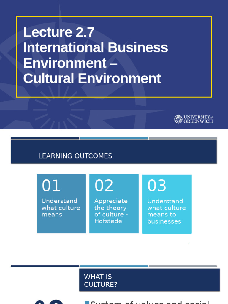 Cultural Environment in International Business | PDF | Employment | Risk
