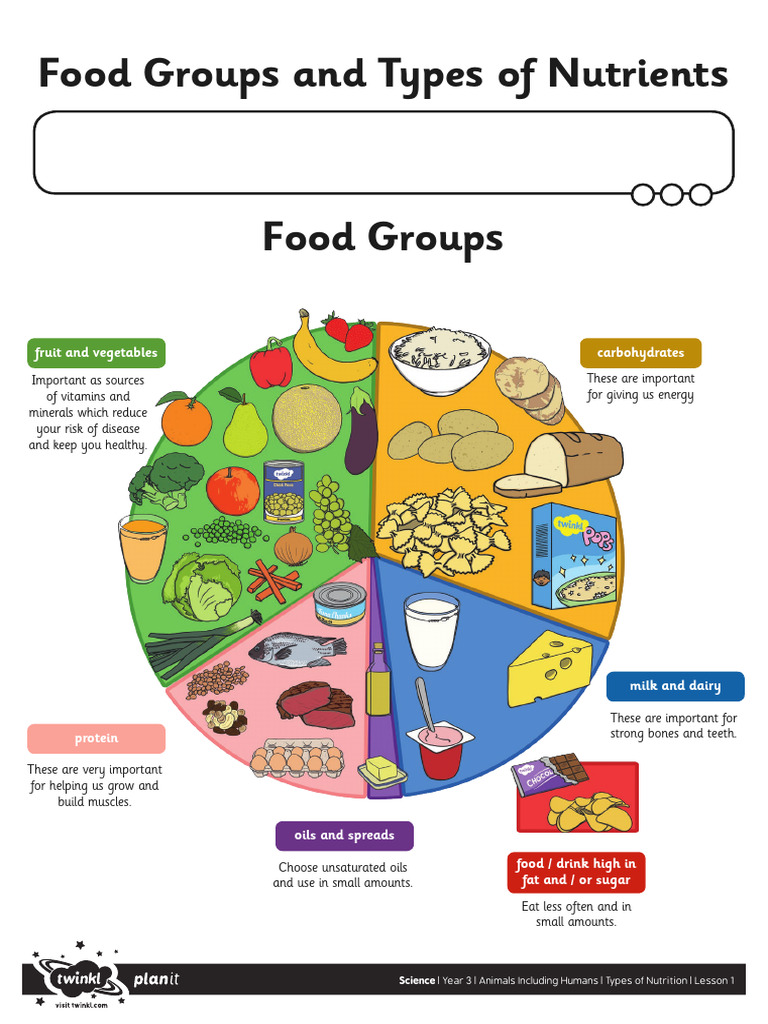 Activity Sheet Food Groups and Types of Nutrients | PDF