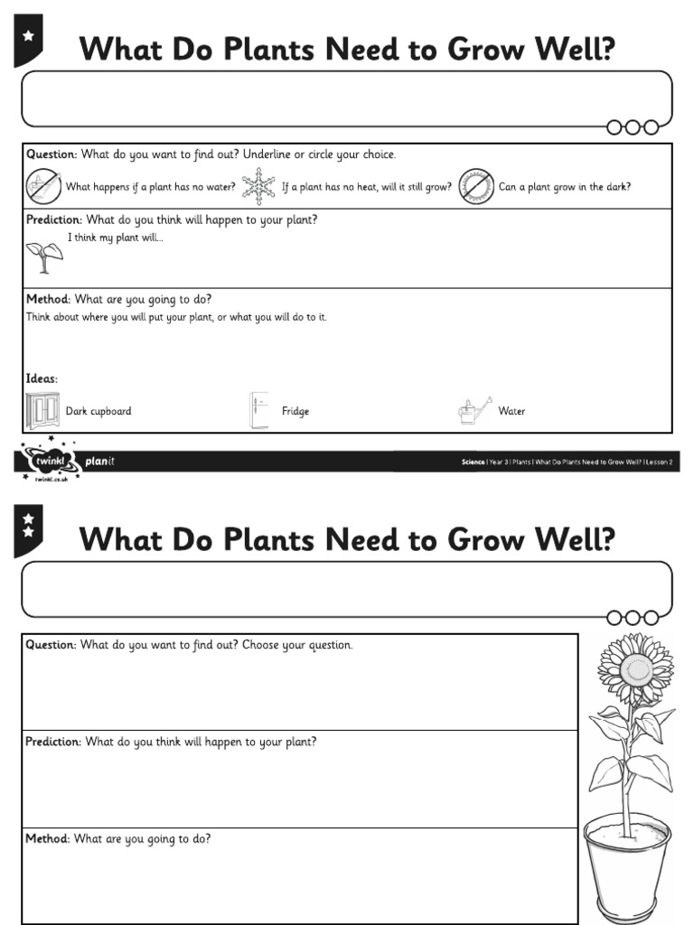 Activity Sheet Investigation Planner | PDF