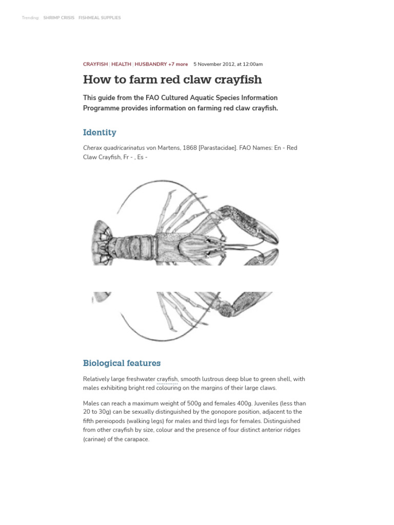Red Claw Crayfish Farming Guide | PDF | Aquaculture | Plankton