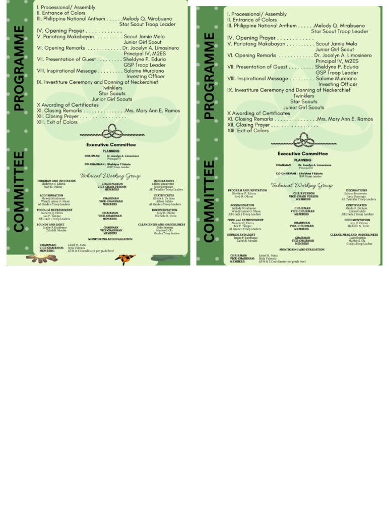 Draft - Program Investiture 2025 | PDF