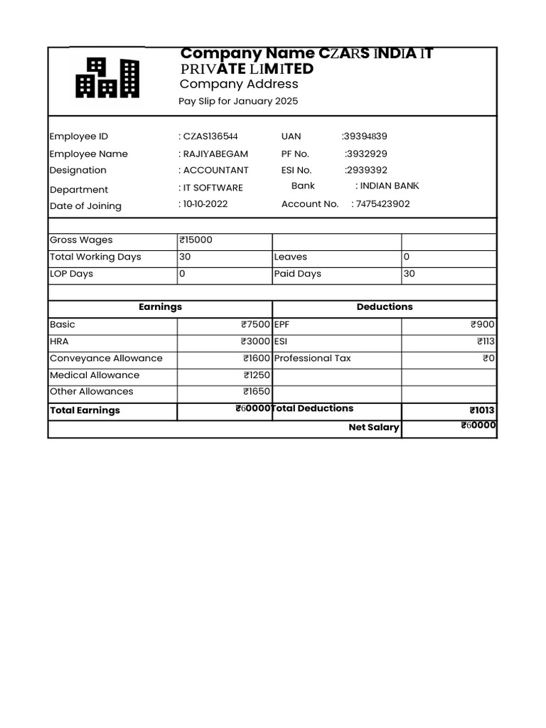 January 2025 Salary Slip for Accountant | PDF