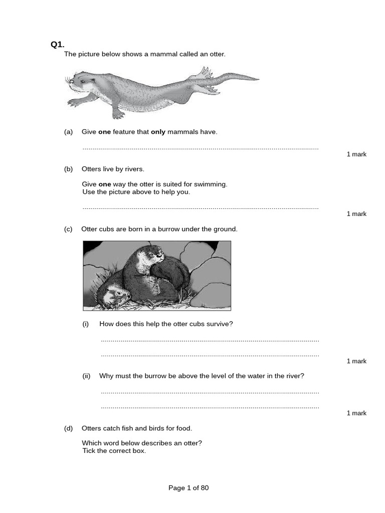 Otter Biology and Energy Concepts | PDF | Planets | Pluto