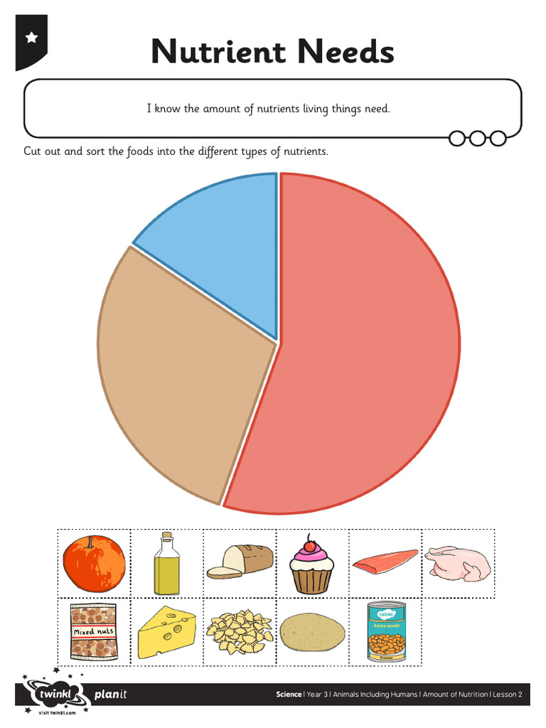 Activity Sheet Nutrient Needs | PDF | Nutrition | Diet & Nutrition