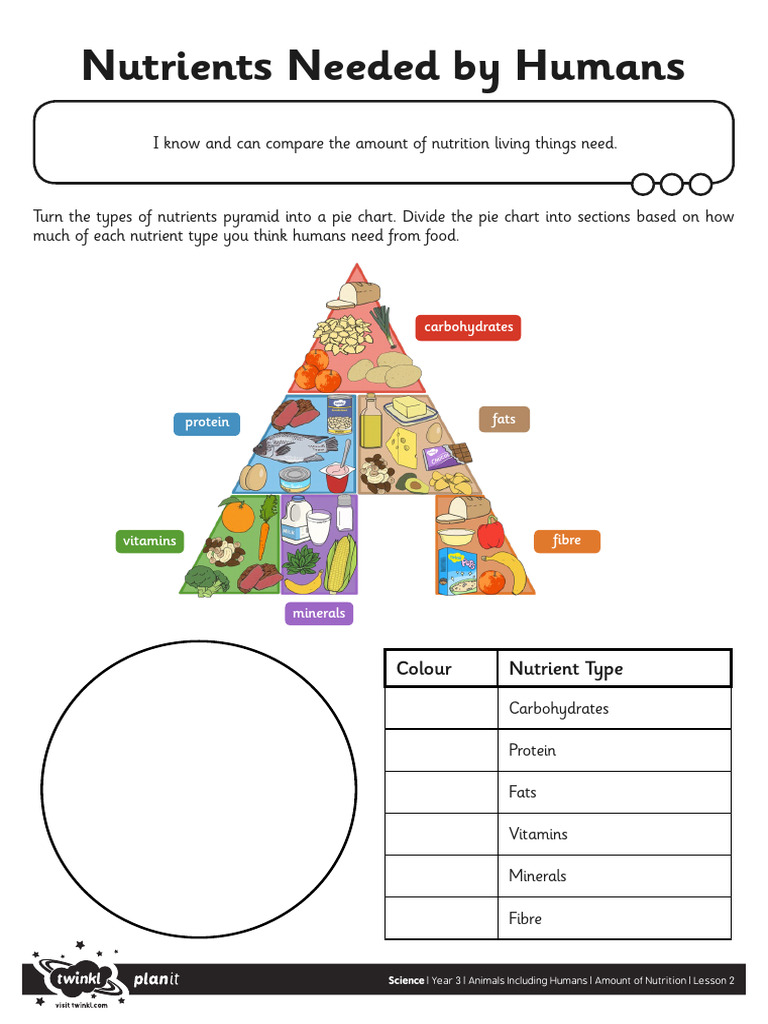 Nutrient Requirements for Humans | PDF