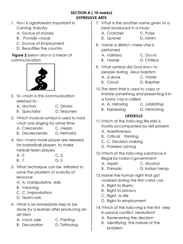 Arts and Life Skills 8 Mock 2 Nazombe | PDF | Gender Equality | Gender Studies