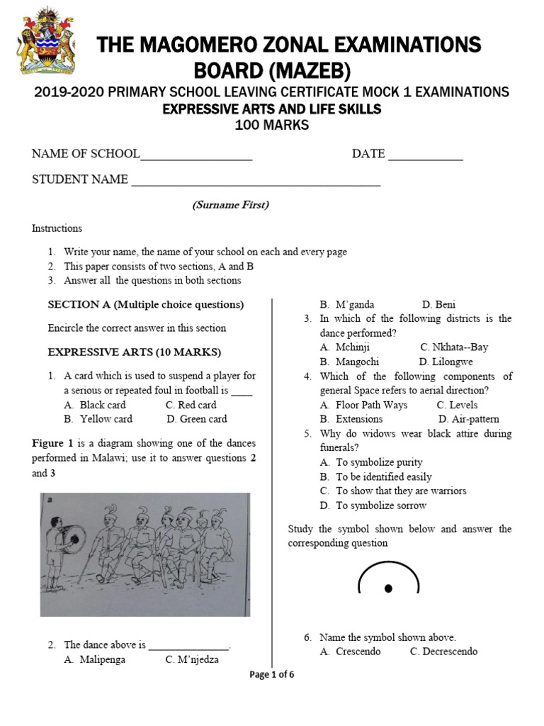 Magomero Arts and Life Skills Mock 1-1 | PDF | Adolescence | Malaria