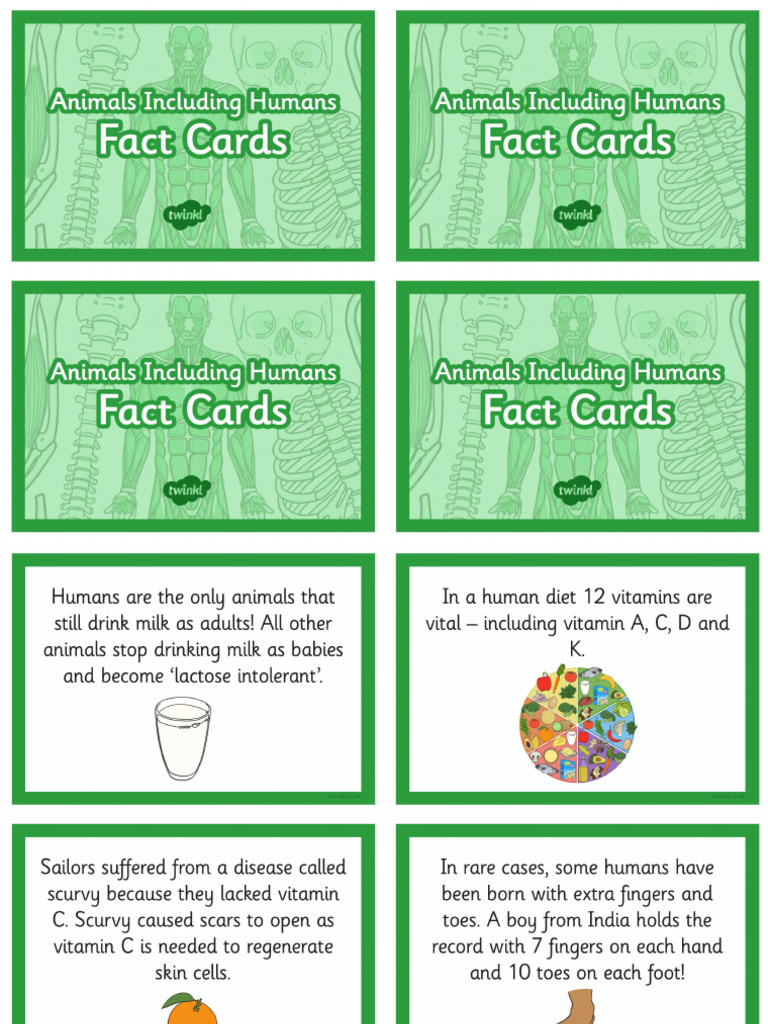 Animals Including Humans Fact Cards | PDF