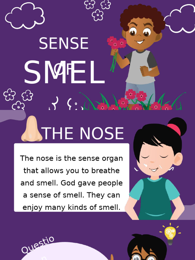 10.3 & 10.4 sense of smell and taste, human and animal senses | PDF ...