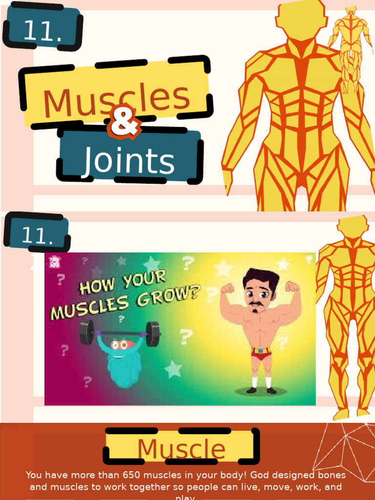 Understanding Muscles and Joints | PDF