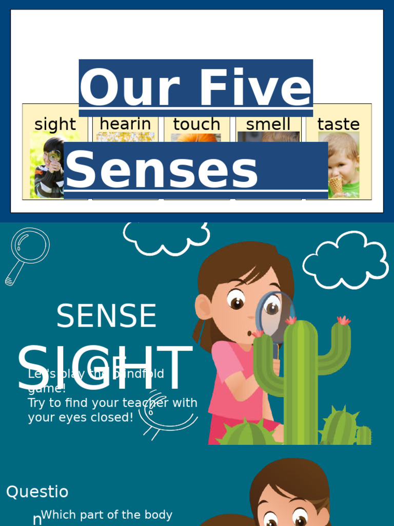 Exploring the Five Senses | PDF | Senses | Eye