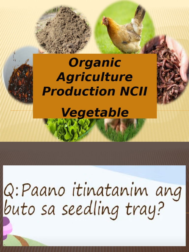 Vegetable - Oap Reviewer | PDF