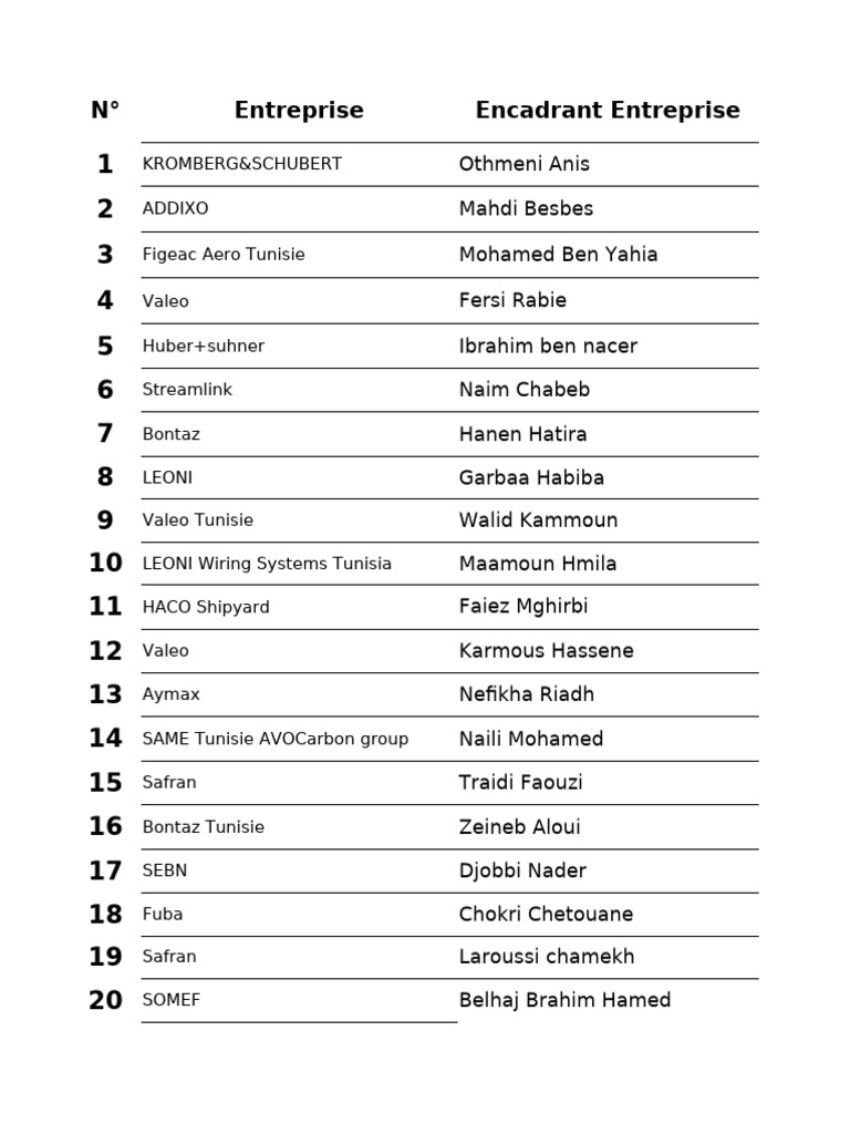 Liste Des Entreprises Qui Ont Proposé Des Sujets PFE en 2023-2024 | PDF