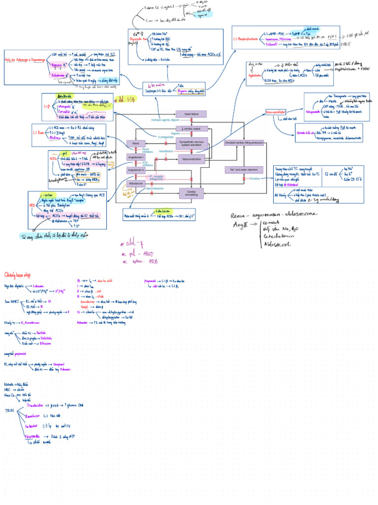 TM-Note-Dược-Lí-Tim-Mạch_230210_195536 | PDF