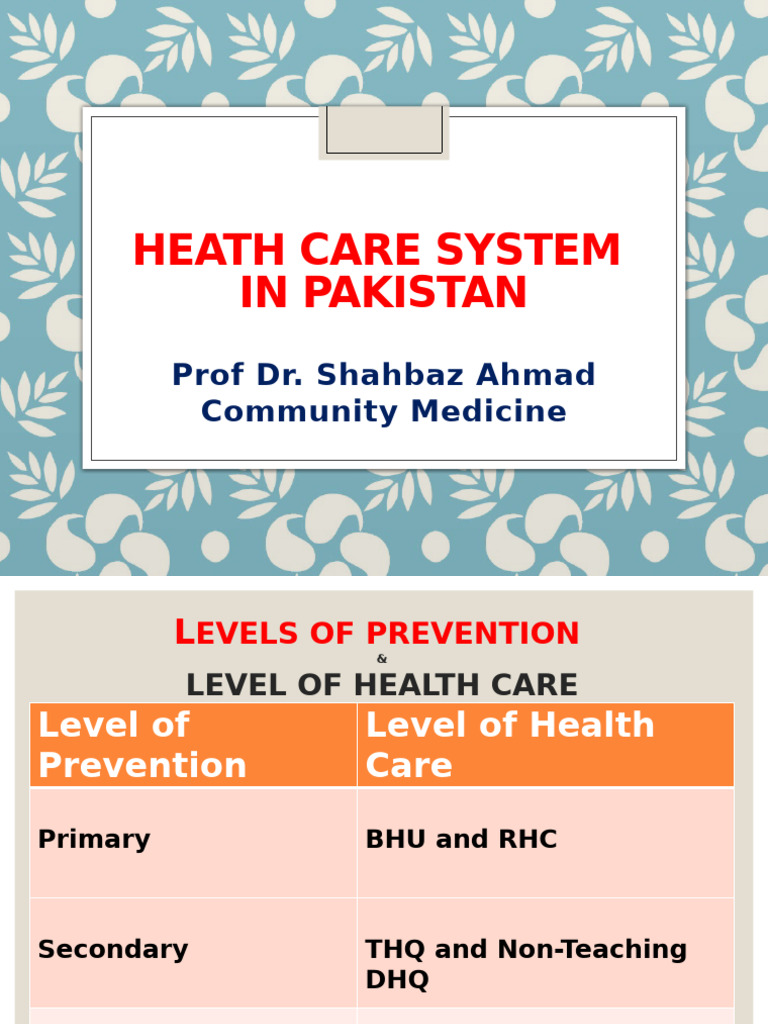 Health Care System Levels in Pakistan | PDF | Health Care | Public Health