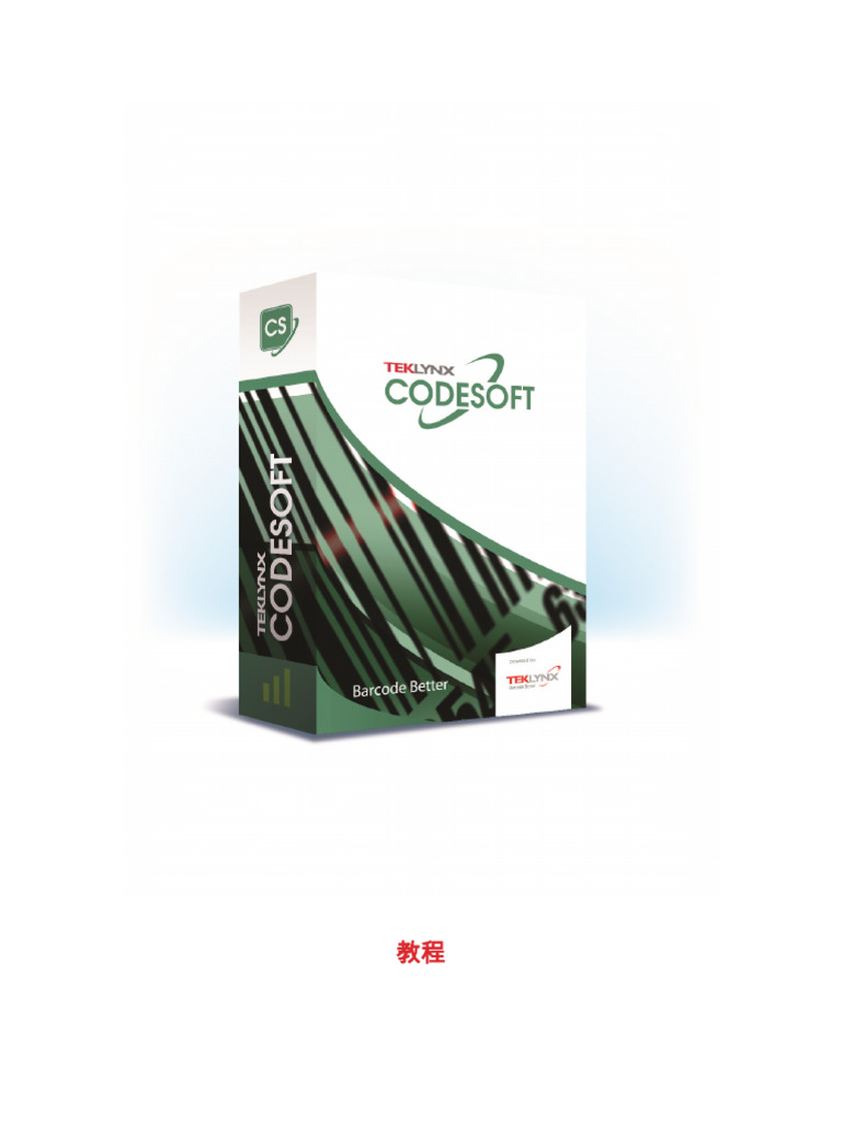 CS2024 Tutorial Zhs | PDF