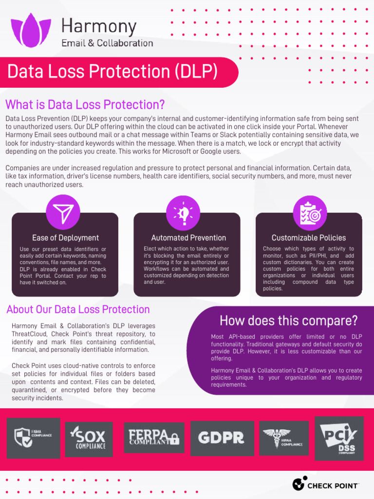 HEC _ DLP Solutions | PDF | Computer File | Information Science