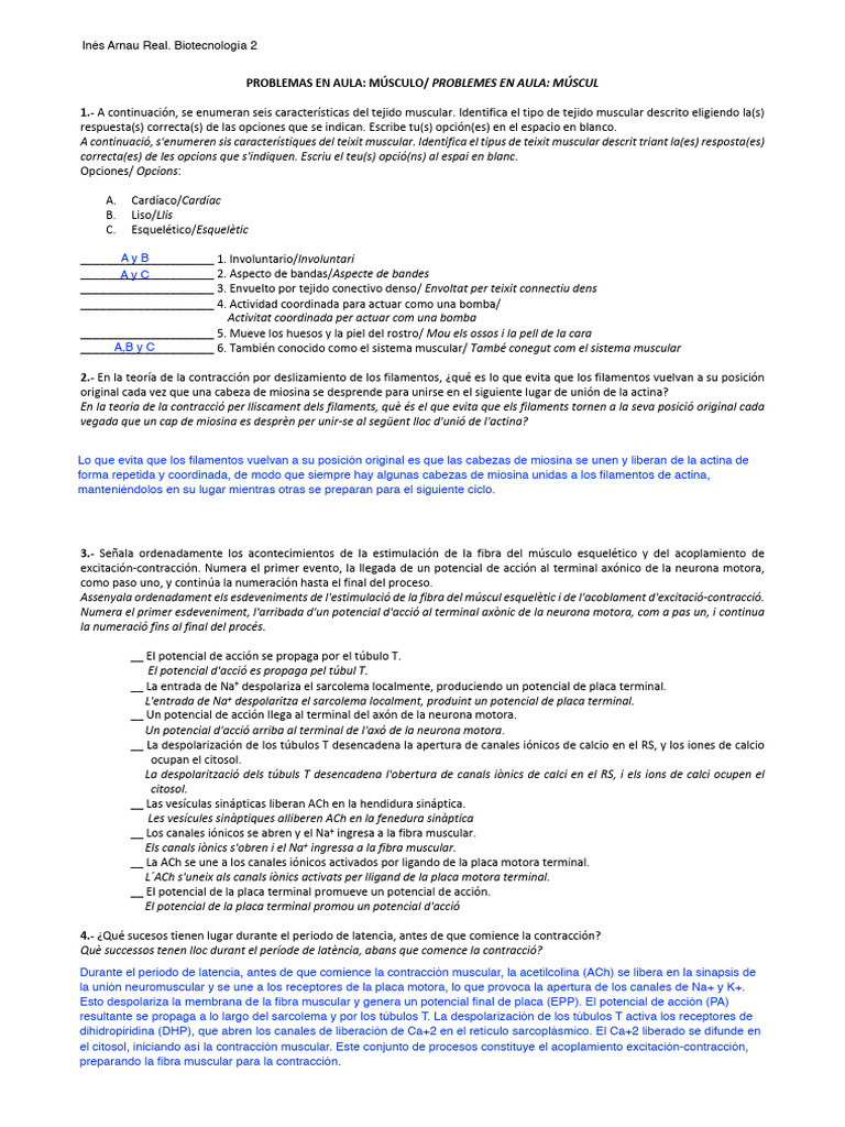 Ines Arnau Problemas SM-2 | PDF | Músculo | Contracción muscular