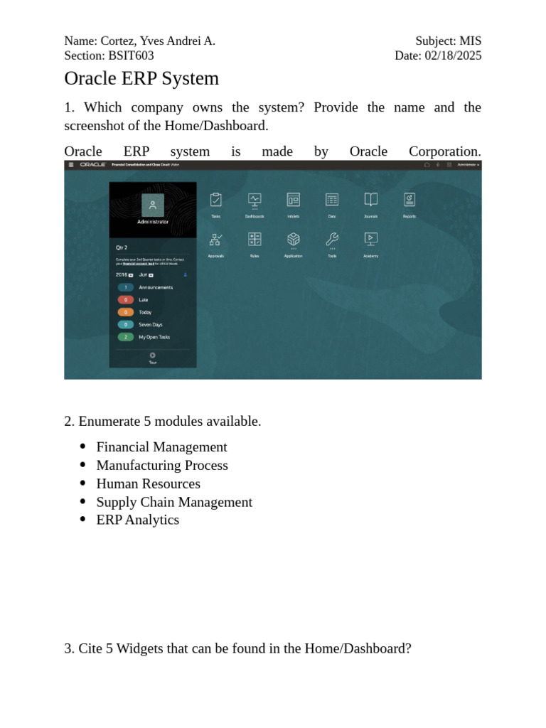 Oracle ERP System Ptask MIS | PDF