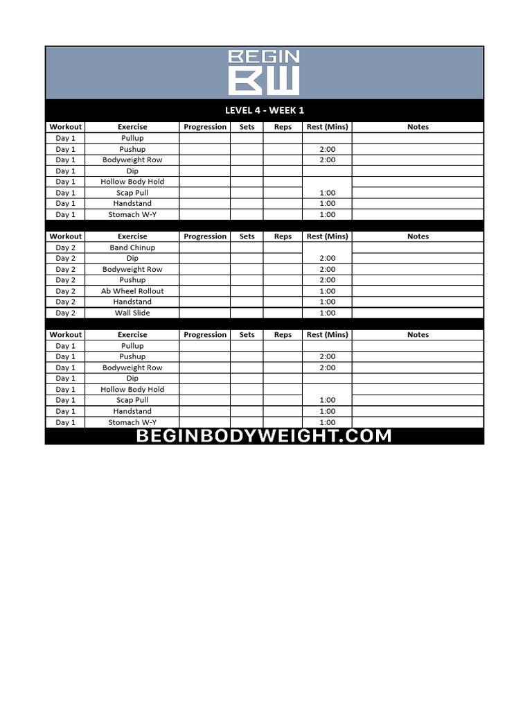 Level 4 Workout Plan: 8 Weeks | PDF | Strength Training | Physical Fitness