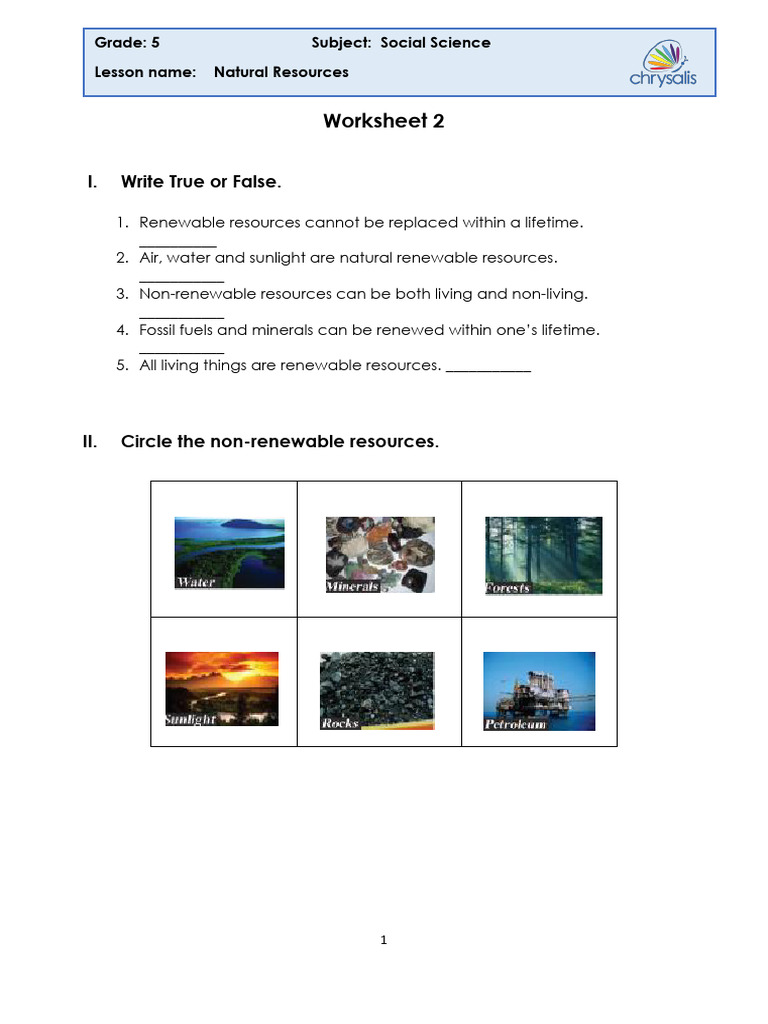 Natural Resources Worksheet for 5th Grade | PDF