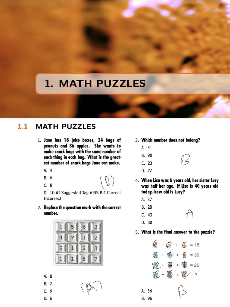 Maths Puzzles | PDF