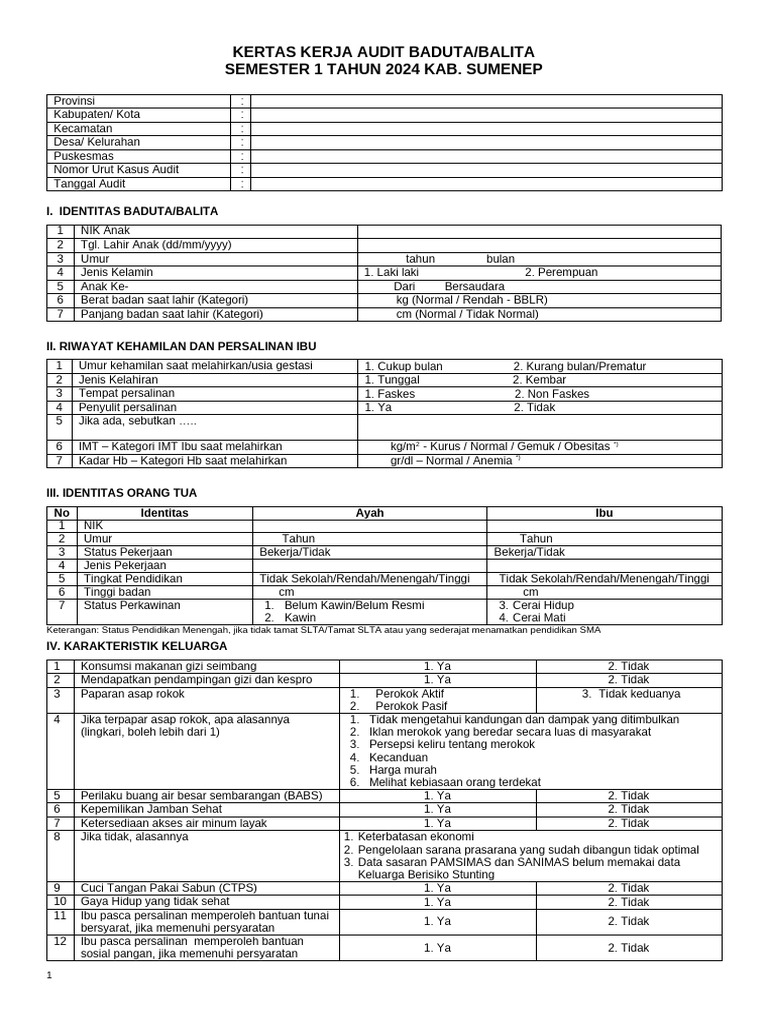 Data Kertas Kerja Audit BADUTABALITA Semester 1 Tahun 2024 | PDF