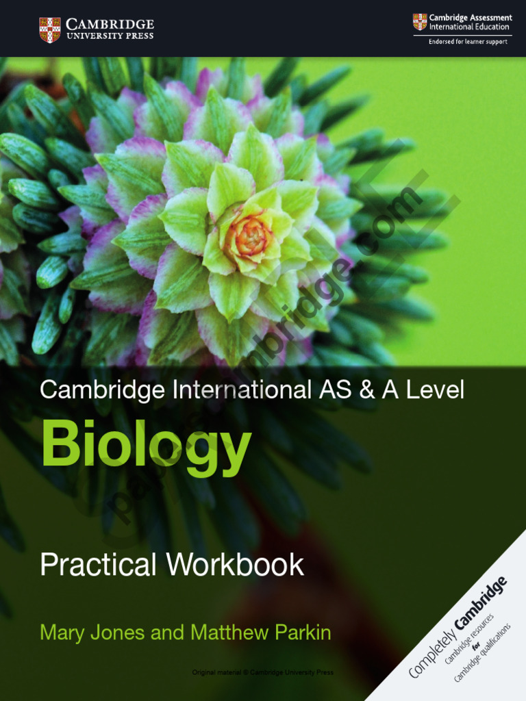As A Level Biology Workbook | PDF | Photosynthesis | Leaf