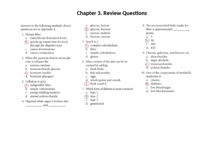 Chapter3 Review Questions | PDF