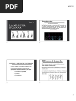Fases de la marcha humana explicadas | PDF | Pie | Pelvis