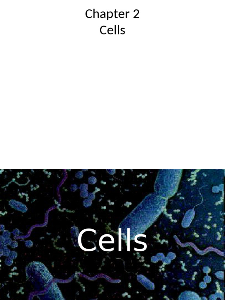 Chapter 2 Cells 1 | PDF | Cell (Biology) | Prokaryote