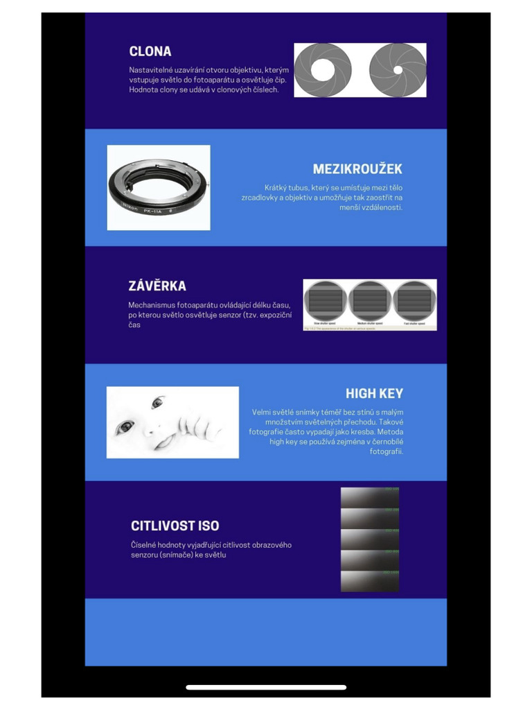 Infografika Purokova | PDF
