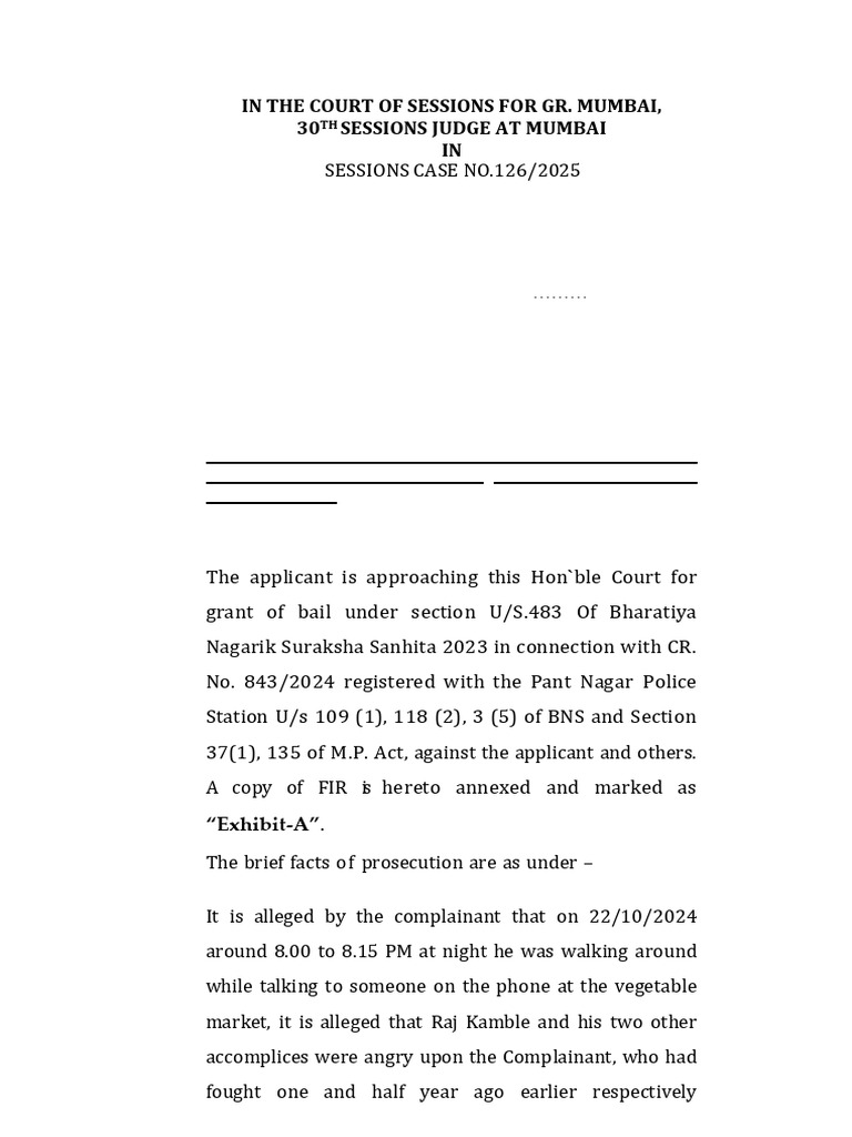 Bail Application for Raj Sachin Kamble | PDF | Bail | Government