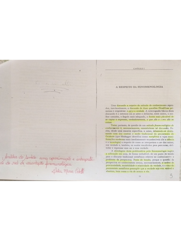 A Respeito Da Fenomenologia - Dulce Maria Critelli | PDF