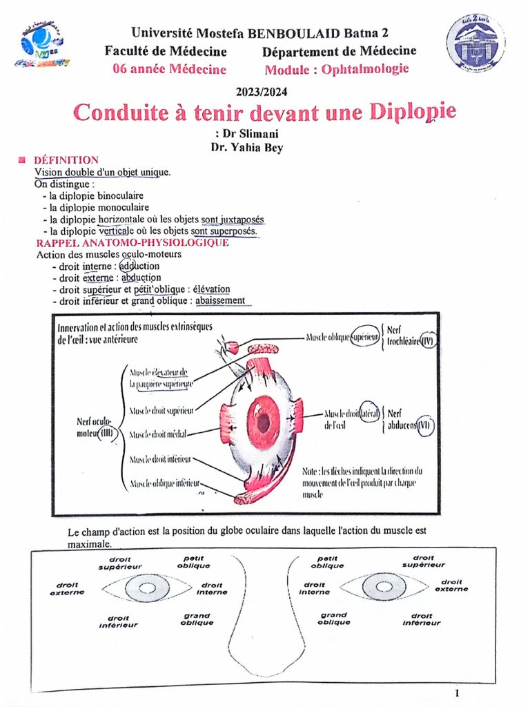 (TD3) CAT Devant Une Diplopie | PDF