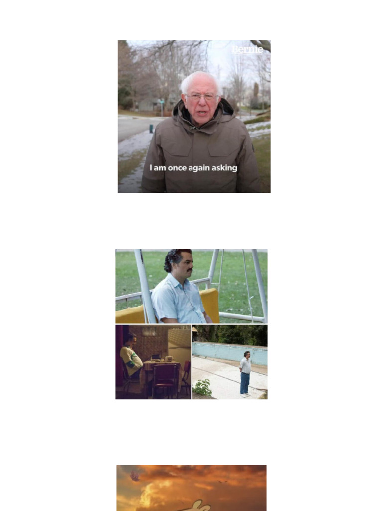 Memes | PDF
