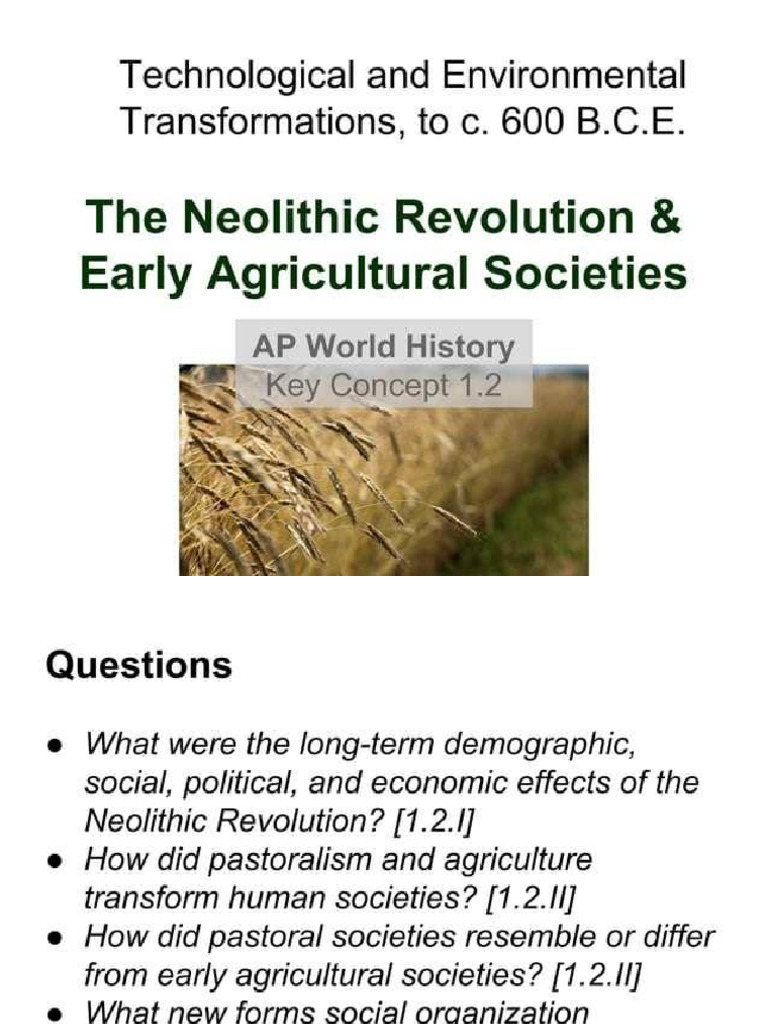Agriculture and Neolithic | PDF