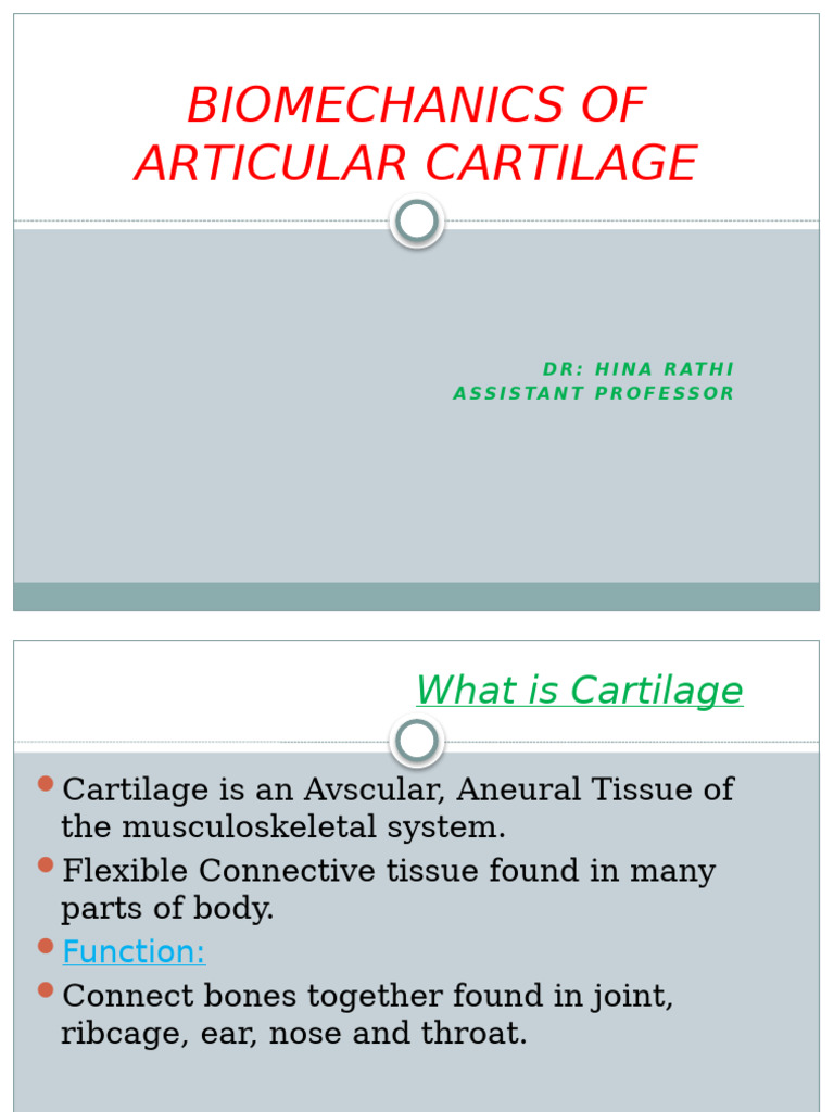 Biomechanics of Articular Cartilage (1) | PDF | Cartilage | Joint