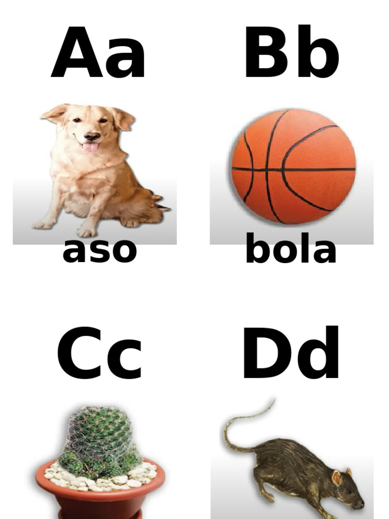 Alpabasa Flashcards | PDF