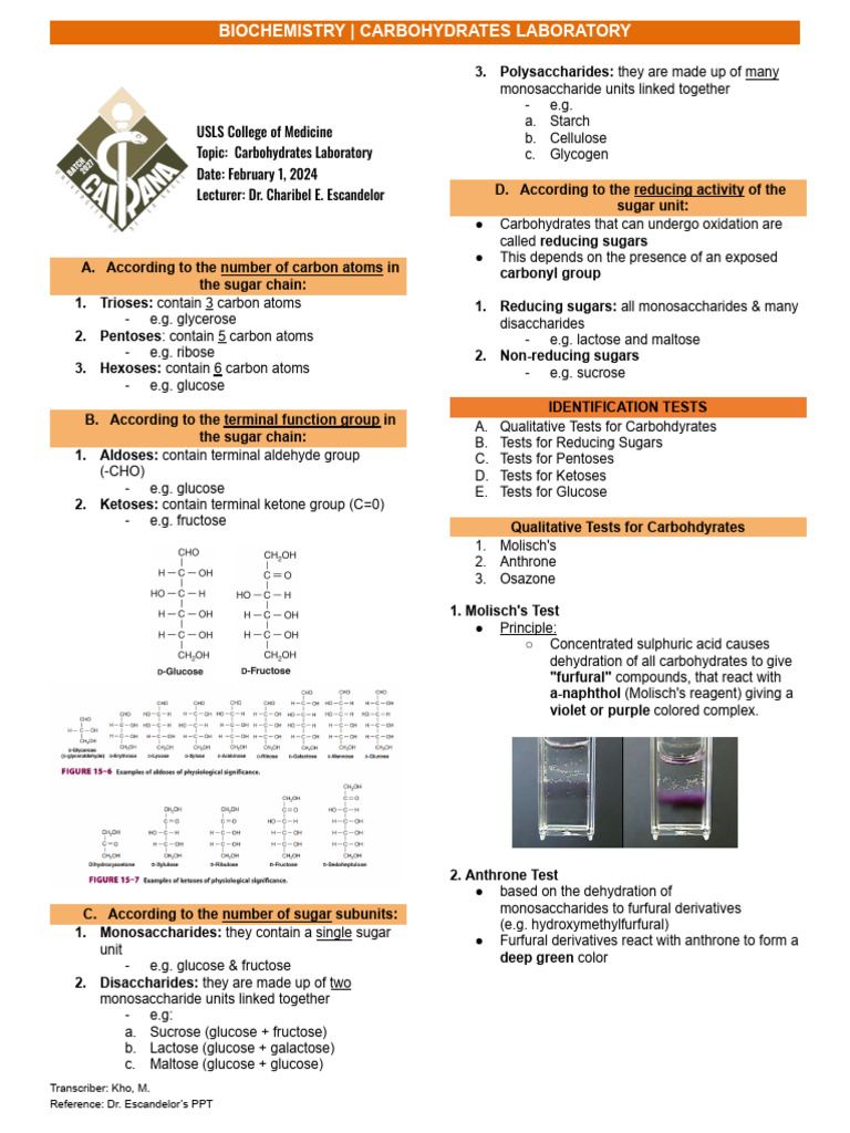 2 Carbohydrates Laboratory | PDF | Carbohydrates | Renewable Fuels