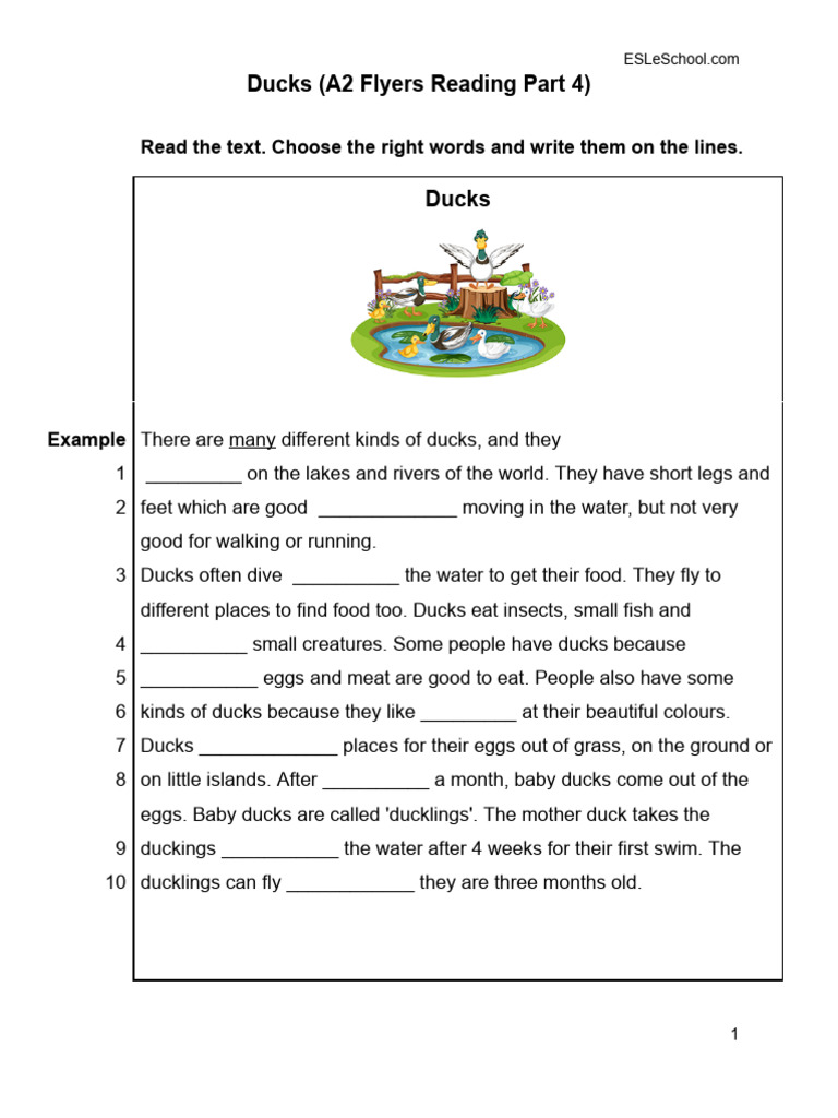 A2 Flyers Reading: Ducks Worksheet | PDF