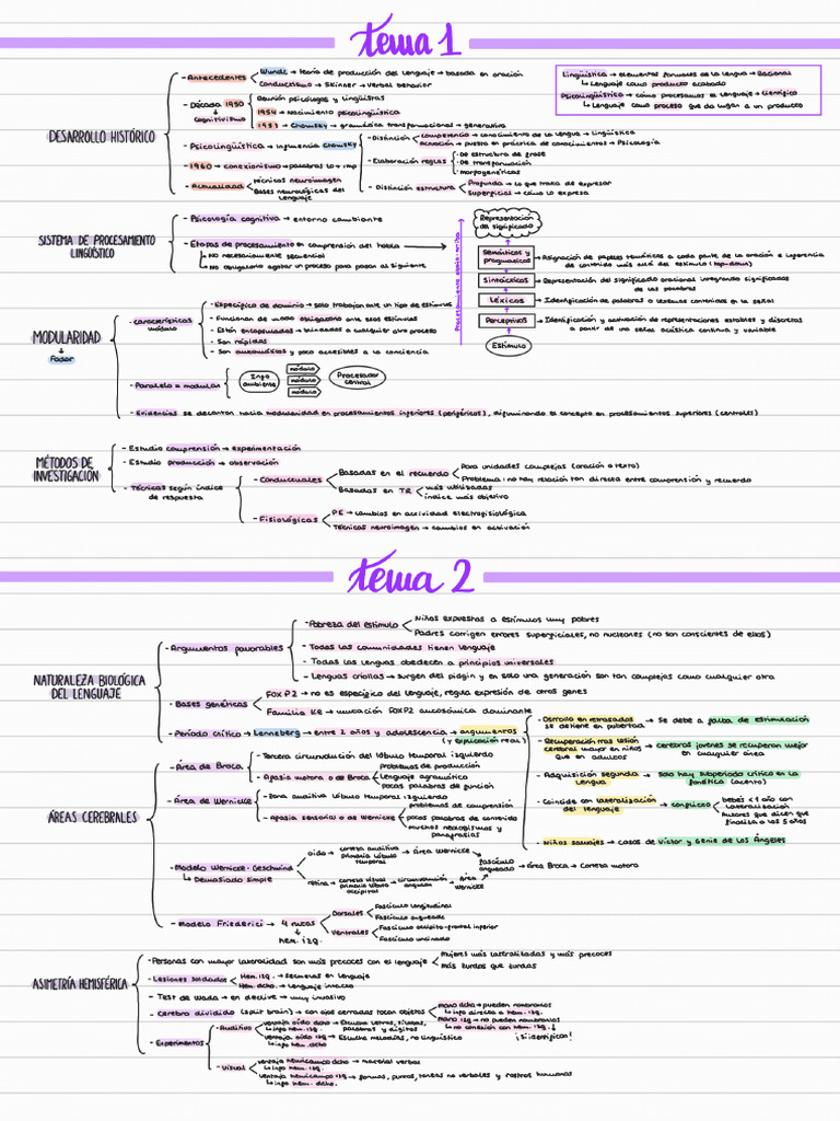 Esquemas Lenguaje | PDF