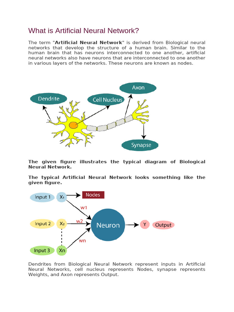 What Is Artificial Neural Network | PDF | Neuron | Brain