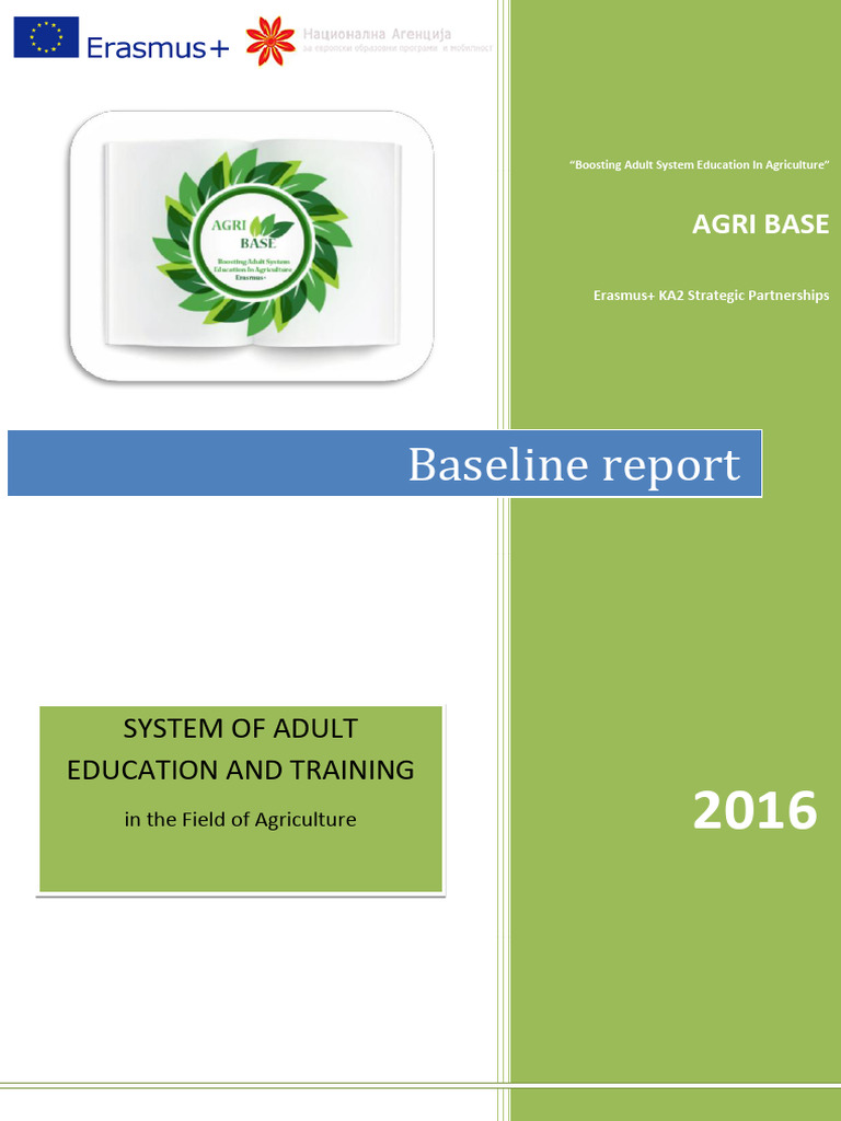 Baseline Report Final | PDF | European Union | Adult Education