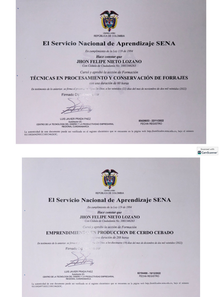 Documentos Jhon Nieto | PDF