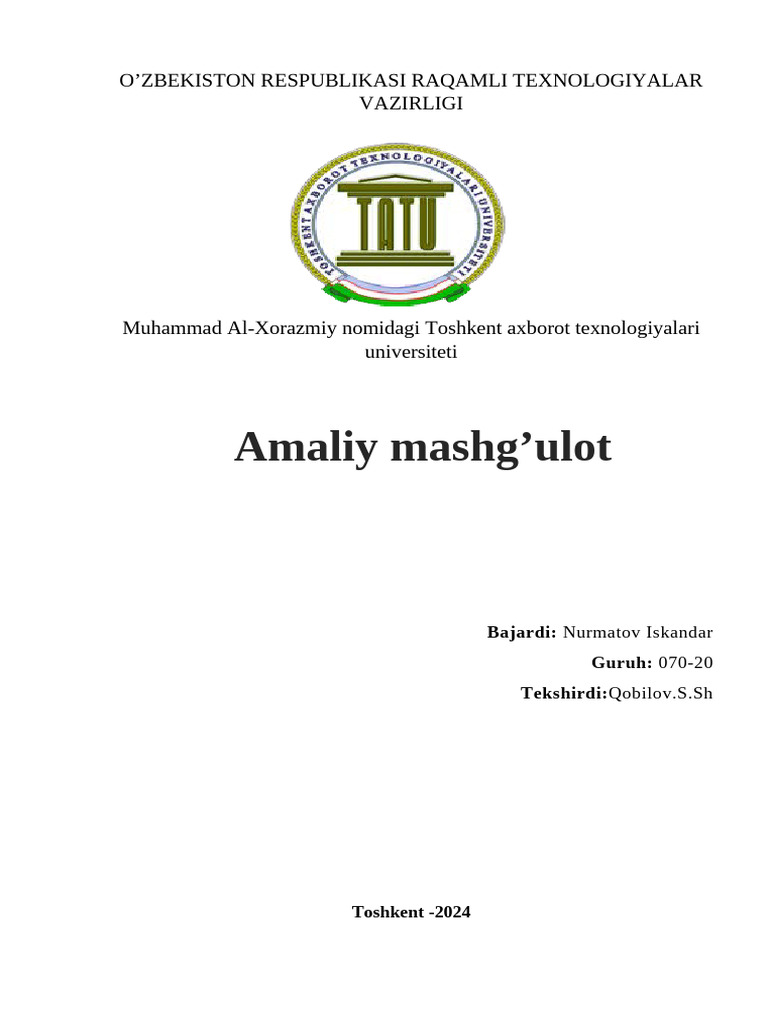 Amaliy Ish | PDF