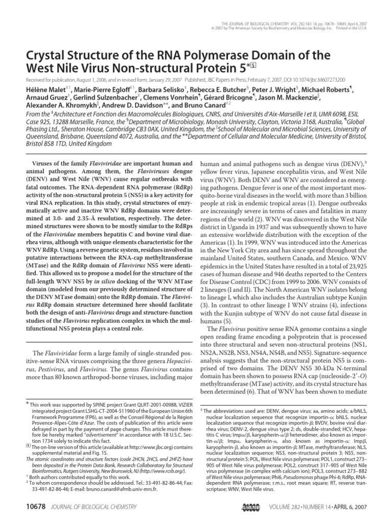 Crystal Structure of the RNA Polymerase Domain of the West Nile Virus ...