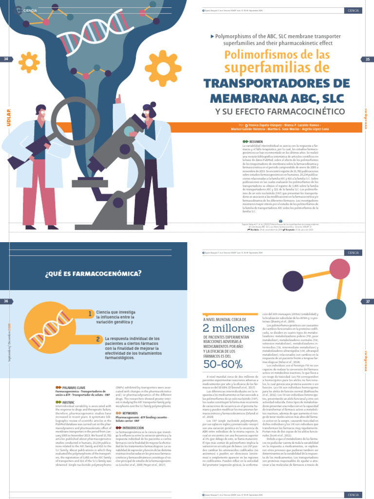 Polimorfismos de transportadores ABC y SLC | PDF | Polimorfismo de ...