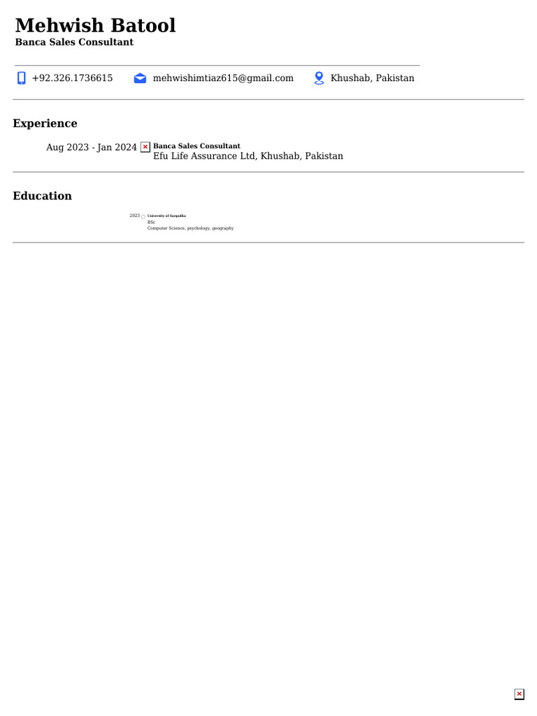 Mehwish-CV-7000019029910-professional | PDF